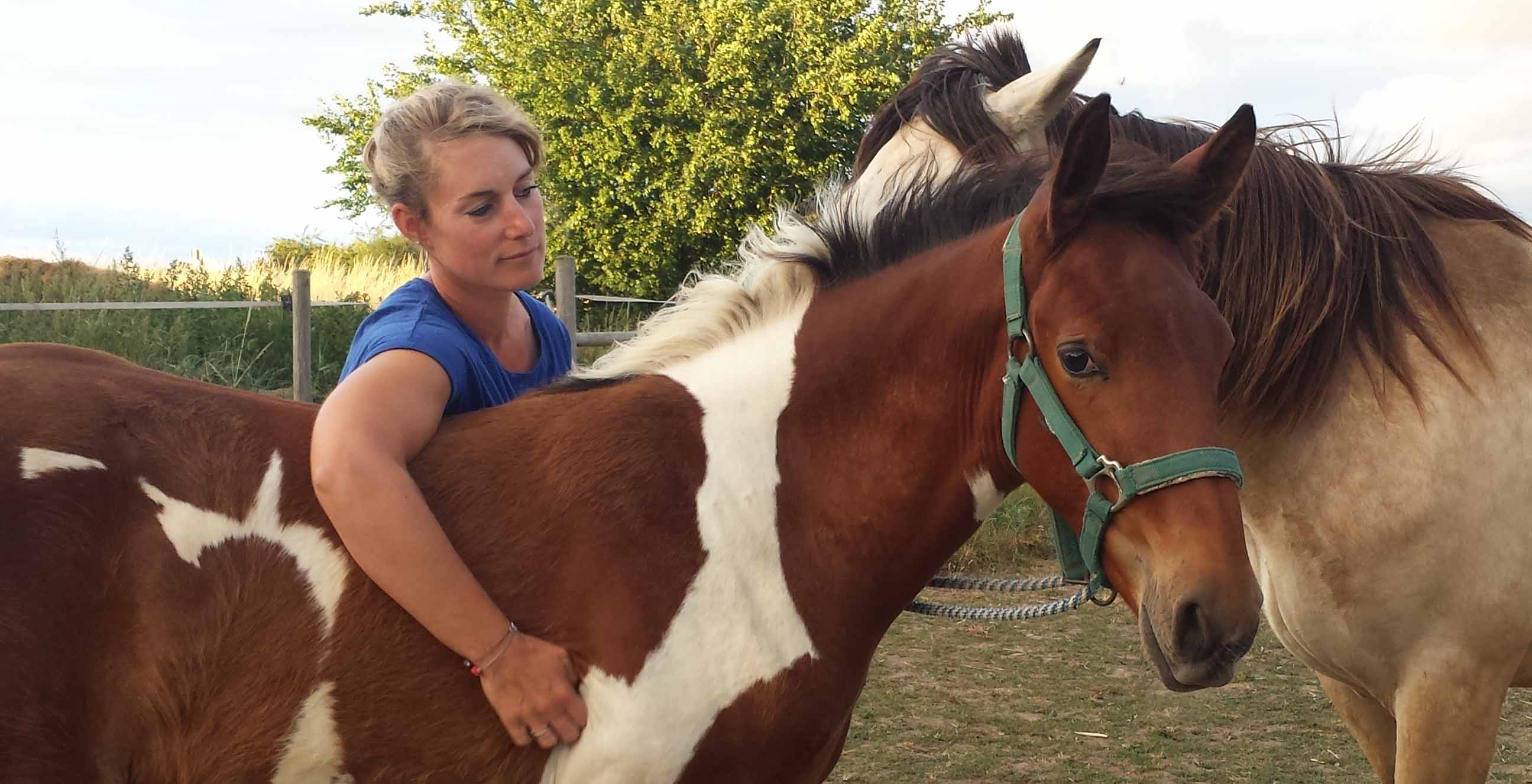 L'histoire de Cavalcade - CAVALCADE